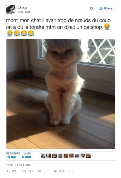 44 photos à mourir de rire parce que cest toujours bon de se marrer