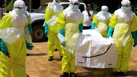 RDC nouvelle épidémie dEbola dans la province de lEquateur OMS