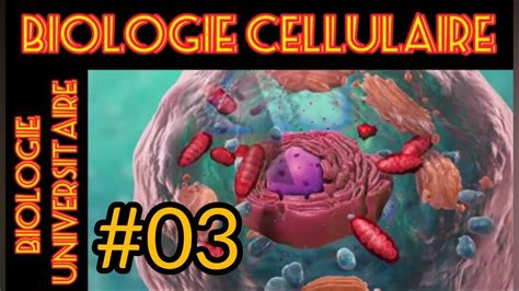 Biologie Cellulaire S1 SVTU partie 3 بالدارجة YouTube