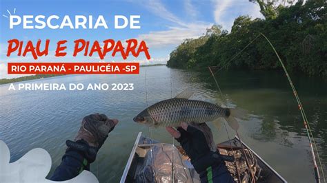 PESCARIA DE PIAU E PIAPARA NO PARANAZÃO CHUVA E PIAU NA PRIMEIRA DO