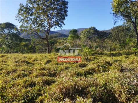 Mil Fazendas Fazenda de Cultura em Niquelândia GO 316 Alqueires