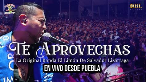 Te Aprovechas La Original Banda El Limón En Vivo YouTube