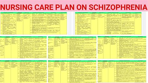 NCP 49 Nursing Care Plan On Schizophrenia Psychiatric Mental Health
