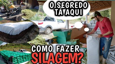 como fazer silagem de milho ensacada todas as dicas que não te