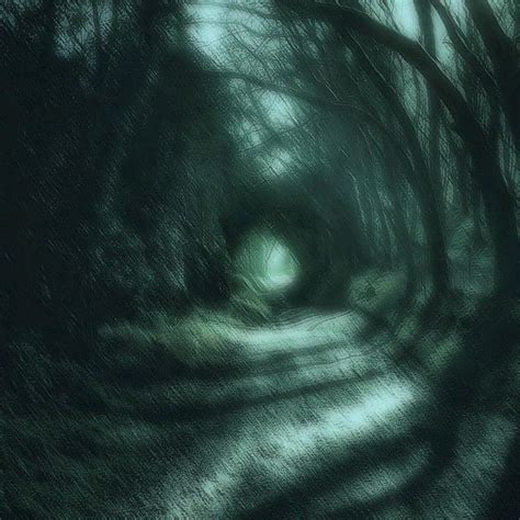 Pin de en Pines creados por ti Estética verde oscuro Fotos de bosque