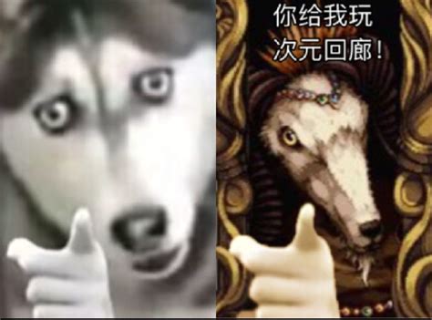 P O Colg Dnf Colg