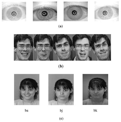 electronics free full text face iris multimodal biometric identification system