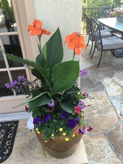 44 Wonderful Summer Container Garden Flower Ideas Page 39 Of 44 In