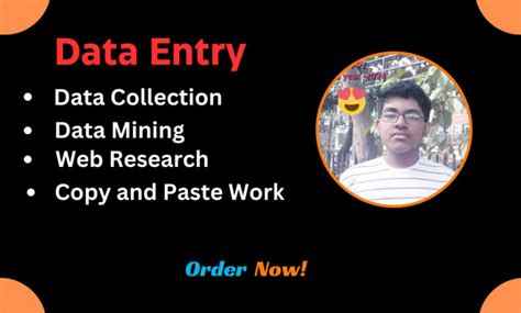 Do Excel Data Entry Data Collection Web Research Copy Paste Task