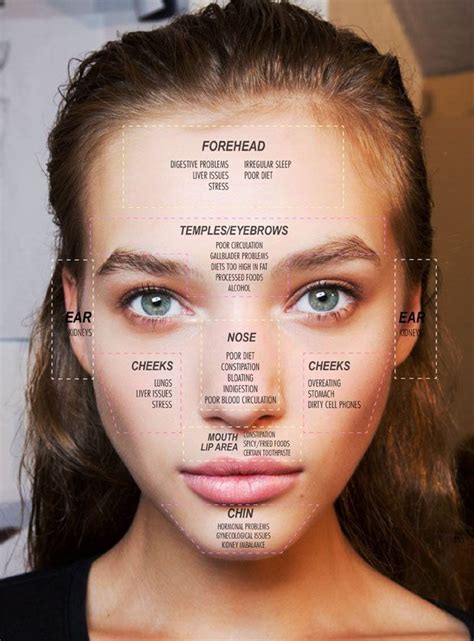 Tutoriel Sur Les Soins De La Peau Face Mapping Your Acne Ce Que Vos