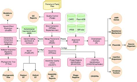Bioinformatics Workflow The Workflow Shows The Bioinformatics Pipeline