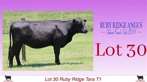 Lot 30 Ruby Ridge Tara T1 YouTube