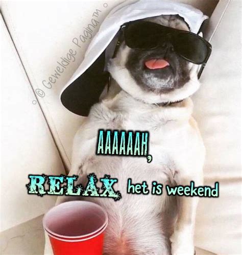 ᐅ Weekend Plaatjes en Gifs voor Whatsapp Pagina 2 BesteKrabbels nl