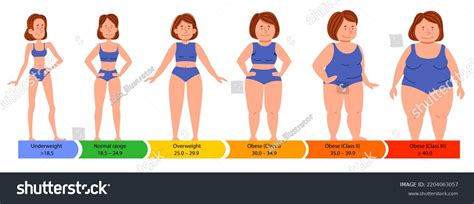 Categories Body Mass Index Female Silhouettes Stock Vector Royalty