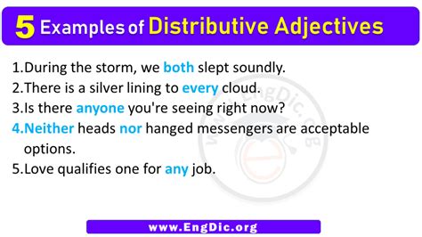 5 Examples Of Distributive Adjectives In Sentences EngDic