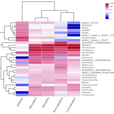 Heat Map Graph Of Hierarchy Cluster For The Top 30 Genera The Relative