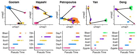 Inference Of Developmental Trajectories And Pseudo Temporal Orders Of
