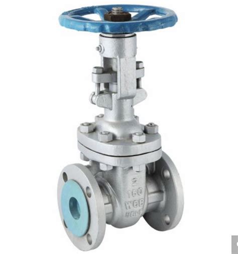 API600 Cast Stainless Steel Wcb CF8 CF8m Flanged Flexible Wedge Bolted