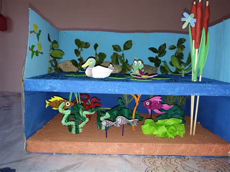 Maqueta De Ecosistema Marino Mica