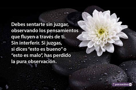 Activar Mus Rana Frases Celebres Sobre La Meditacion Impuestos