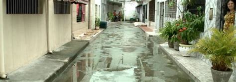 Moradores de Santo Amaro sofrem esgoto a céu aberto