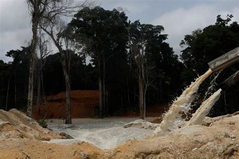La selva amazónica asediada por la minería ilegal Infobae