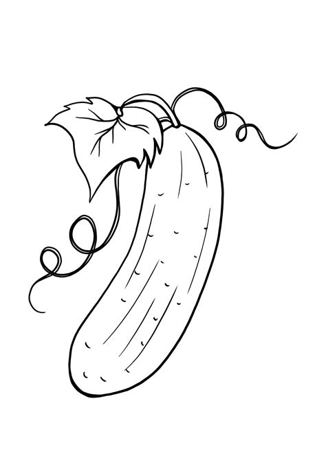 Desenhos De Pepinos Para Colorir Imprimir E Pintar Colorir Me