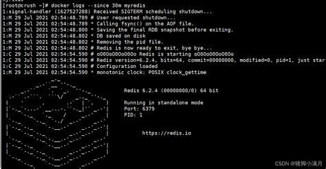 docker安装redis csdn博客