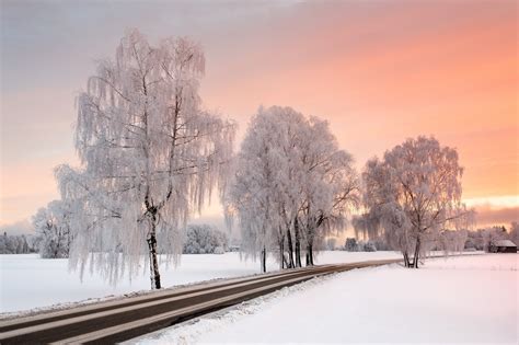 Wallpaper Sunlight Trees Landscape Water Nature Sky Snow