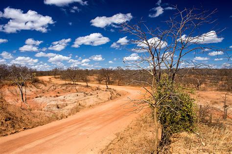 Grande Sertão Veredas National Park Brazil s Biodiversity Haven LAC Geo