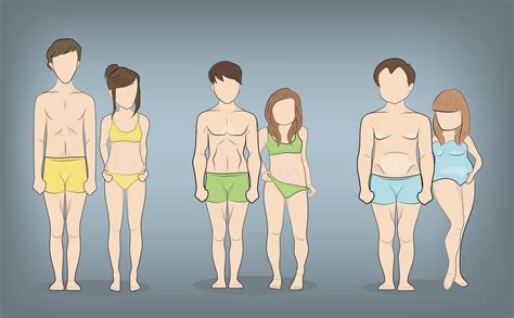 Biotipo Corporal Como Identificar E Adaptar Sua Rotina De Exerc Cios