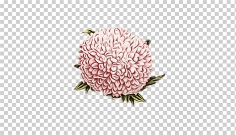Ramo De Flores Acuarela Pintura Tinta Mojada Crisantemo Flores