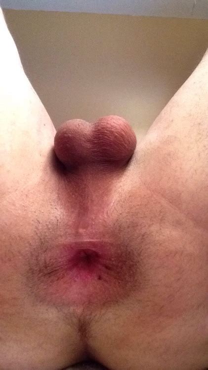 Bighorn Tumblr Tumbex