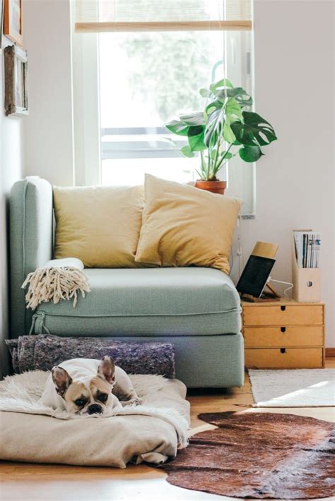 Rendere La Casa Accogliente Con I Dettagli Giusti HomeLivingBlog