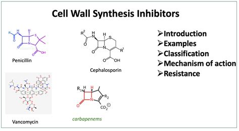 Cell Wall Synthesis Inhibitors BioPharma Notes