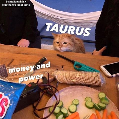 Taurus Cult Ure On Instagram Money Power Glory Taurus
