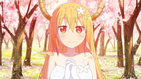 Kobayashi San Chi No Maid Dragon Specials Telegraph