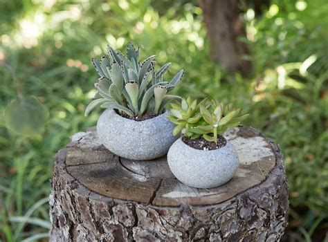 20 River Rock Succulent Garden DECOOMO