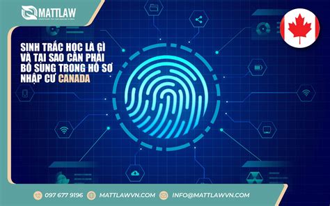 Tổng hợp hơn 51 về hình ảnh lag coedo vn