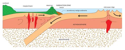 A Tectonic Plate Is A Massive Irregularly Shaped Piece Of The Crust