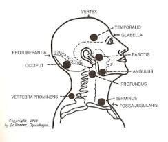 Image Result For Lymph Nodes Of The Face And Neck Lymphatic Drainage