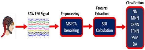 sensors free full text identification of motor and mental imagery eeg in two and multiclass