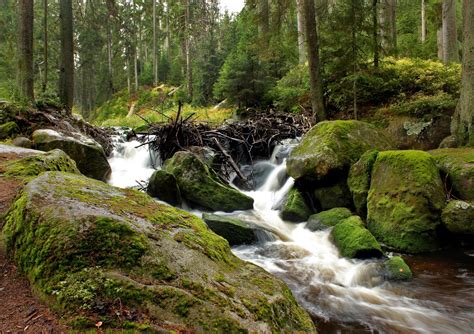 Fotos Gratis Paisaje Rbol Naturaleza Cascada Arroyo Desierto