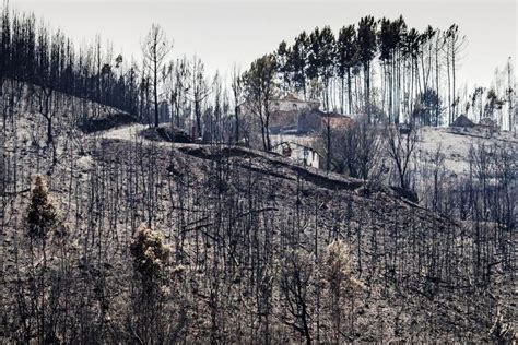 Incêndios D Rui Valério fala em cenário de destruição e