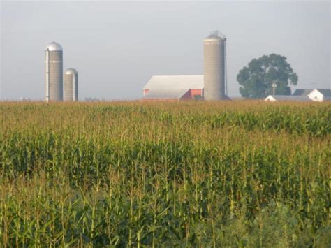 Geography Of Corn In The United States Geography Realm