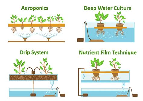 Diagrams Of Water Culture Hydroponic Grow Systems The Main M