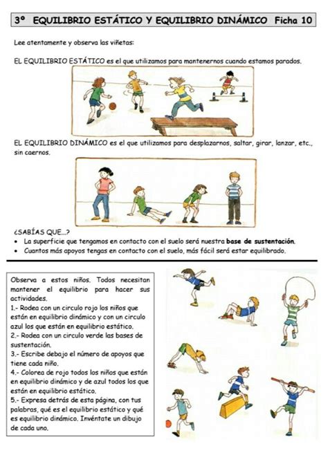 Tipos De Equilibrio En Educacion Fisica Fiteranmapa