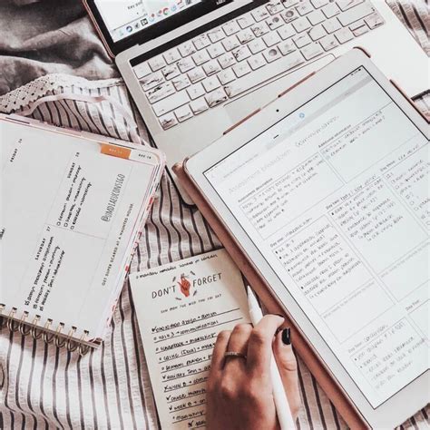 Study Aesthetic Study Inspiration Study Organization Study Motivation