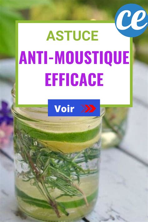 Enfin Un Répulsif 100 Naturel Que Tous Les Moustiques DÉTESTENT
