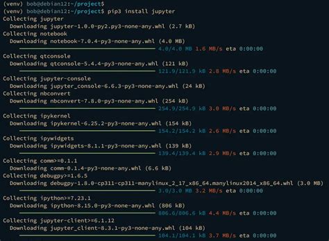 guide to install jupyterlab on debian 12